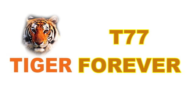 TIGER T77 FOREVER SOFTWARE UPDATE - Dish Download